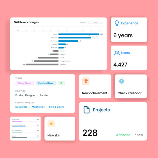 MapSkiller - elevating the user experience | Flying Bisons